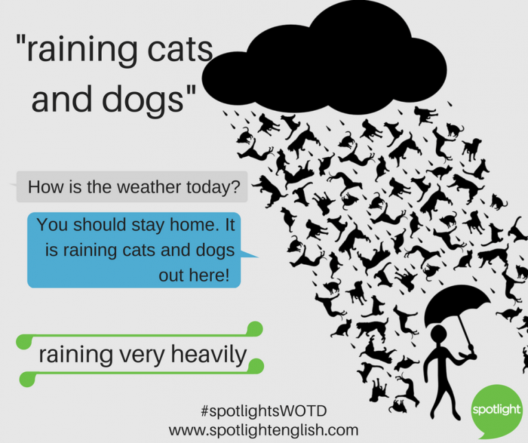6 English Rain Idioms – Don’t use number 5 today! - Spotlight English®