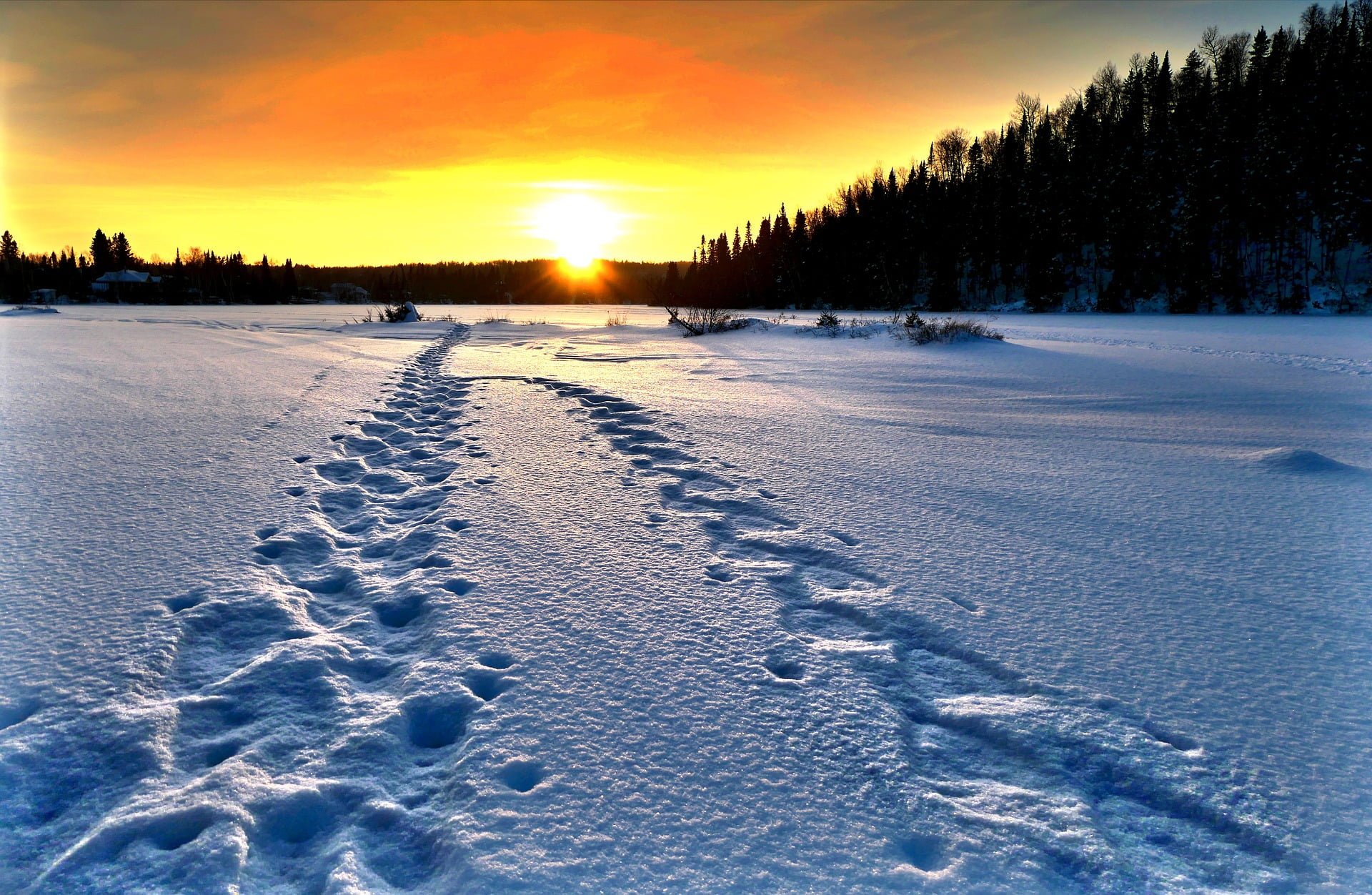 How To Stay Safe in Cold Weather - Spotlight English®